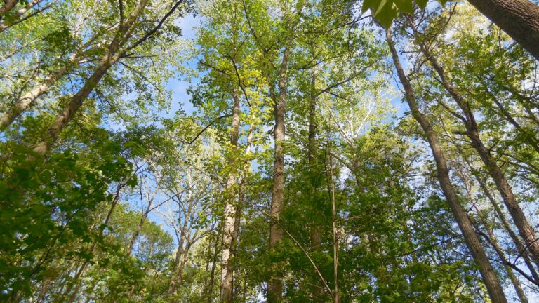 EcoAddendum 3.0Nature Photography Show at Atlanta City Hall, 2016