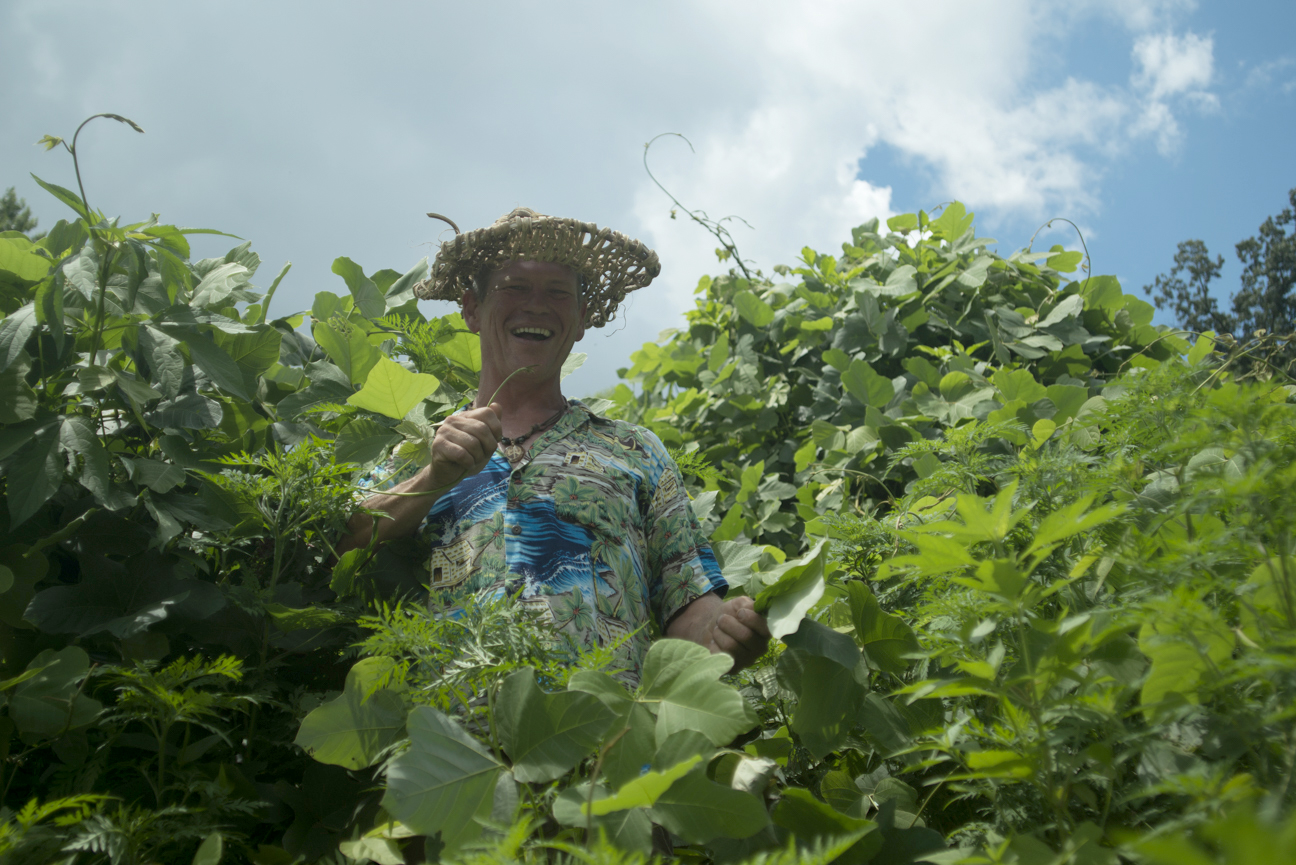 EcoAddendum 3.0Atlanta Kudzu Festival – Kudzu Crafts Workshops, Nature ...