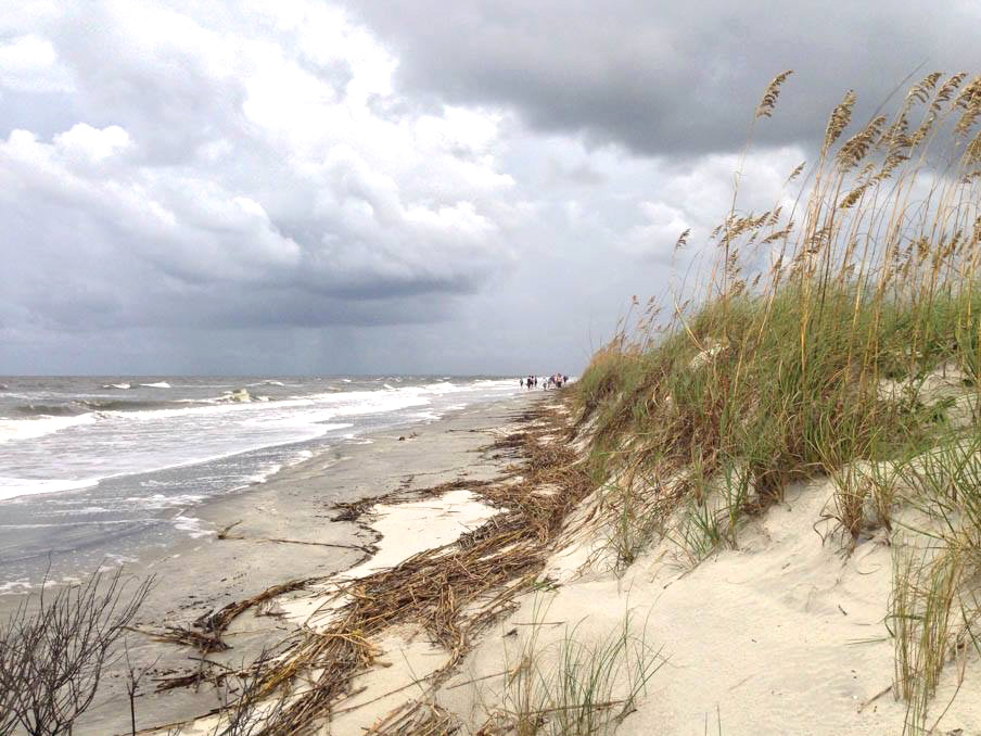 EcoAddendum 3.0Where the Water Goes 5 – Sapelo Island Weekend