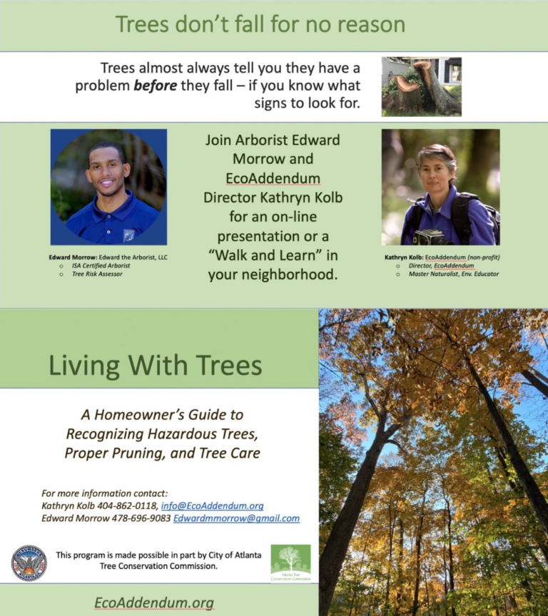 EcoAddendum 3.0Living with Trees, Adams Park